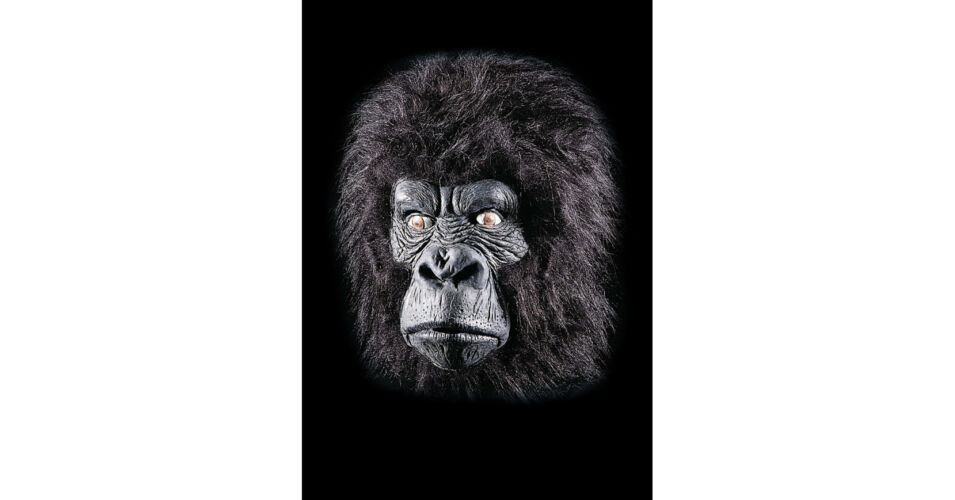 Gorilla latex maszk - Halloween maszk, álarc - Lufipark.hu - Lufik ...