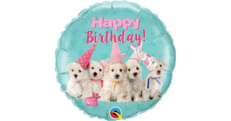 18 inch-es Édes Cuki Kölyök Kutyák Szülinapi Fólia Lufi - Szülinapos ...